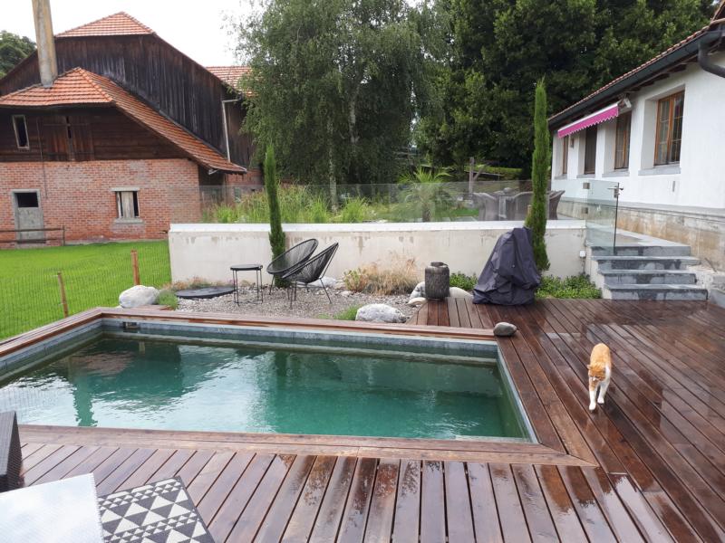 der kleine Badeteich